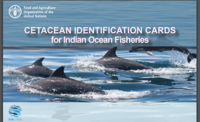 New Indian Ocean Cetacean Identification Cards available - Arabian Sea ...